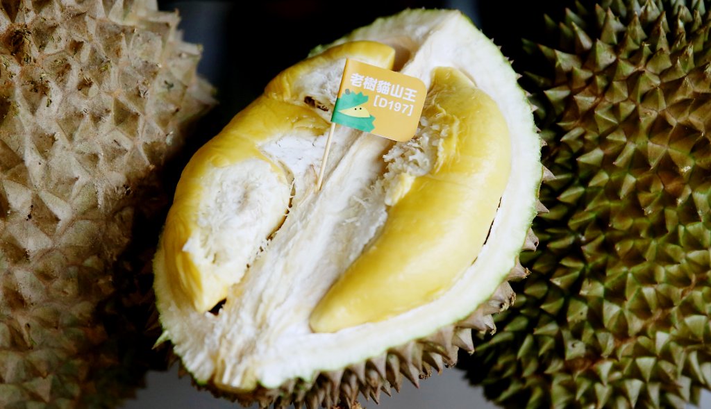 About - DurianBB.com.my