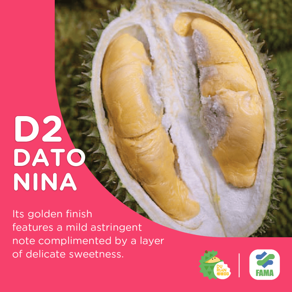 Fresh Durians – DurianBB Malaysia