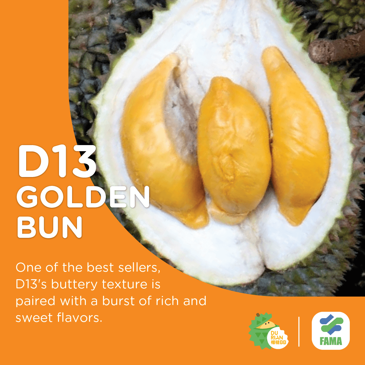 Musang King Popcorn – DurianBB Malaysia