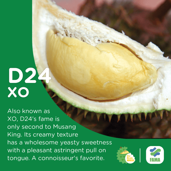 Fresh Durians – DurianBB Malaysia