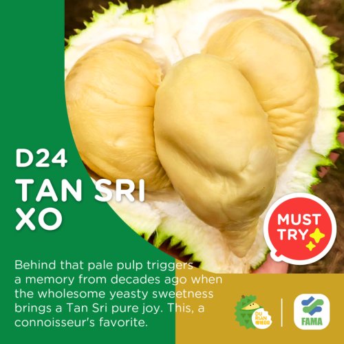 Fresh Durians – DurianBB Malaysia